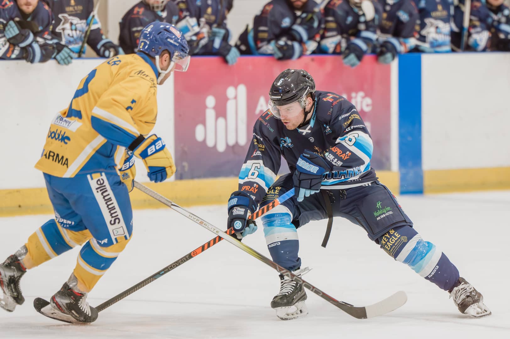 Stuart Kerr Re-Signs | Solway Sharks Ice Hockey Club