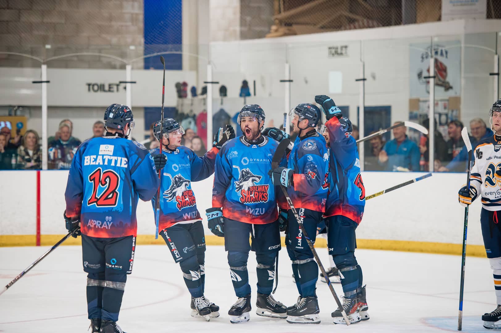 Match Report: Solway Sharks vs. Romford Raiders 26th October 2024 ...