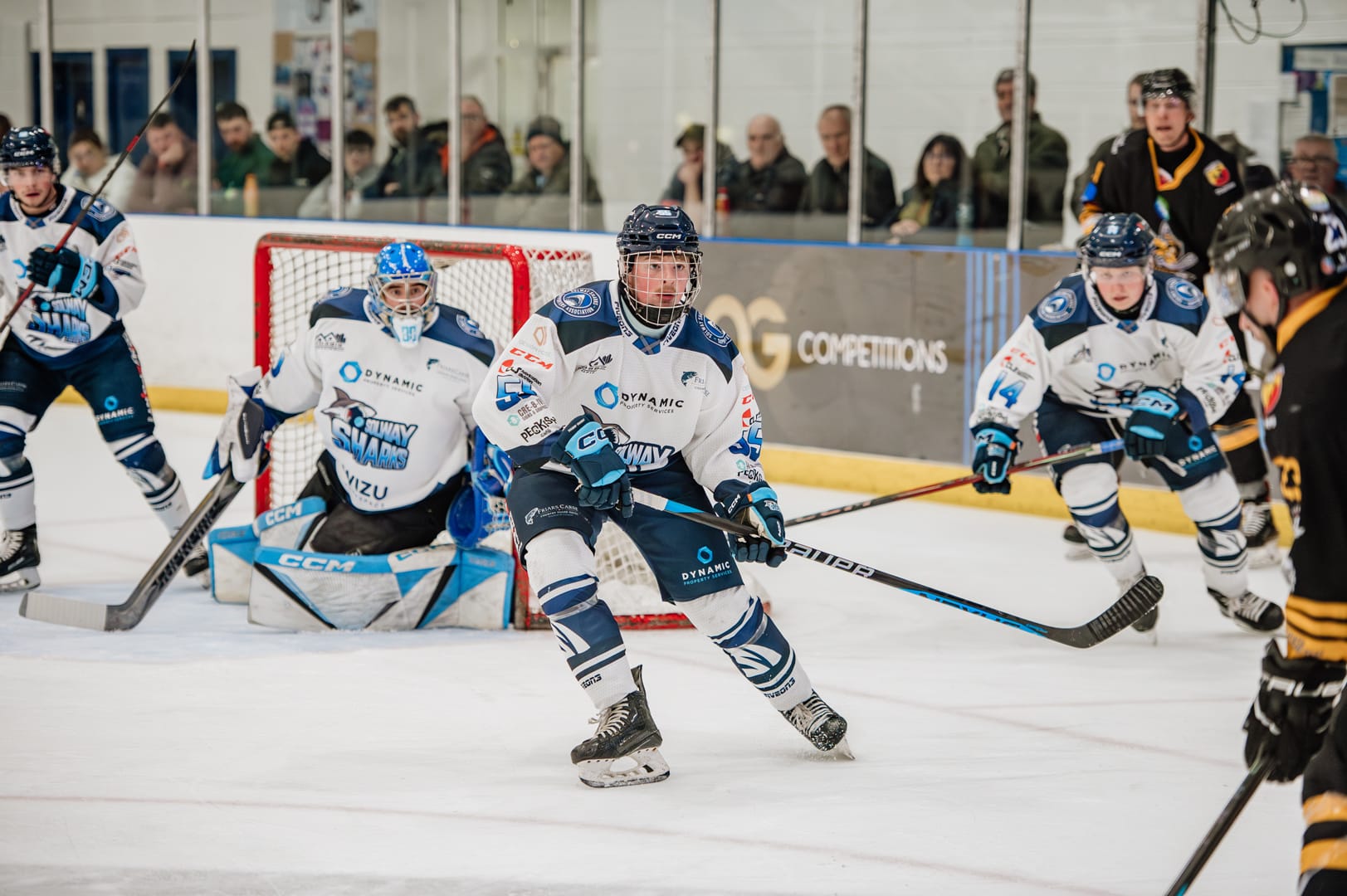 Match Report: Solway Sharks vs Berkshire Bees 15th December 2024 | Solway Sharks Ice Hockey Club